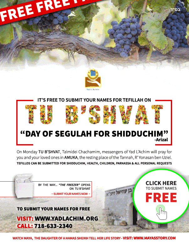VIRAL VIDEO: Watch Hilarious Shidduch Video "THE FREEZER" - Simcha Spot